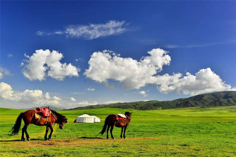 Most Popular Inner Mongolia Tour from Beijing | Beijing Extended Tours