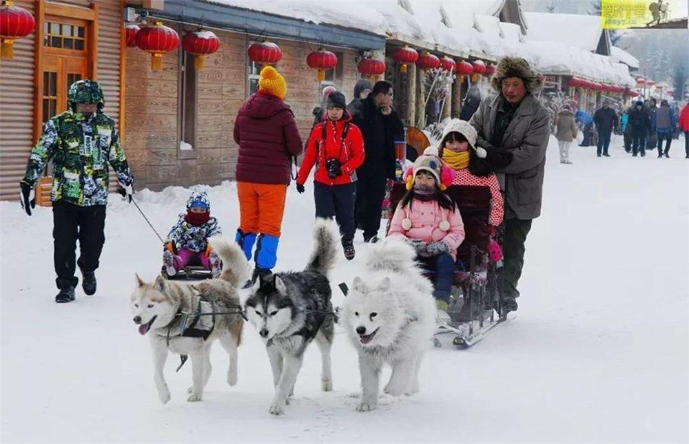5-Days Harbin China Snow Town Skiing Tour, Harbin in Winter | Harbin ...
