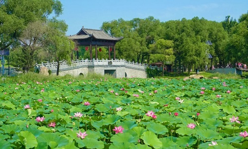 Changchun City Day Tour with Private Guide | Explore Top Sights